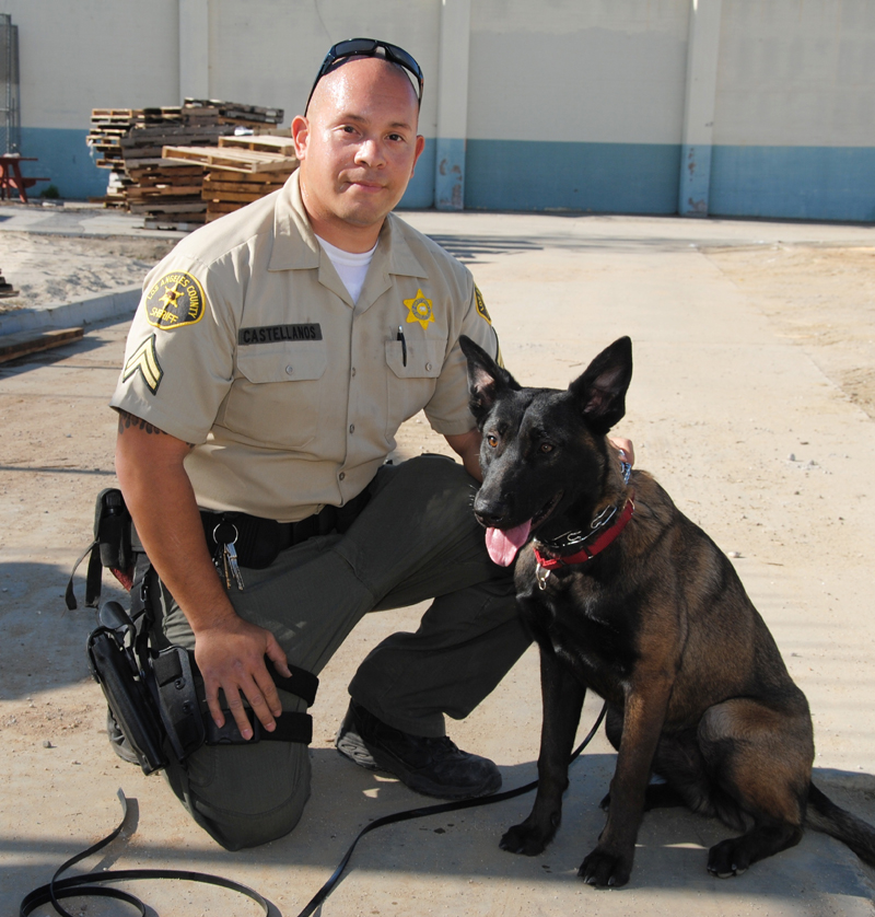 SCVNews.com | Sheriff Adds 3 Trailing, Bomb Dogs to Arsenal | 01-07-2015