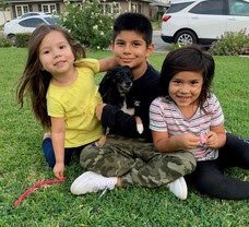 SCVNews.com | Opinion/Commentary: Marcia Mayeda | Keeping Pets ...