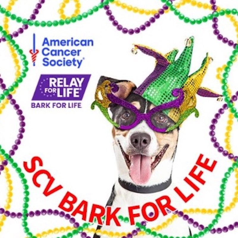 SCVNews.com | March 26: American Cancer Society’s Bark for Life | 02-13 ...