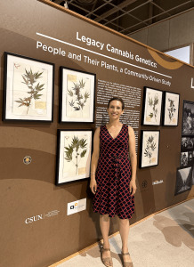 SCVNews.com | CSUN Professor Co-Principal Investigator on Cannabis ...