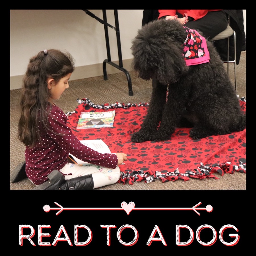 SCVNews.com | Have Your Kids ‘Read to a Dog’ at Santa Clarita Public ...