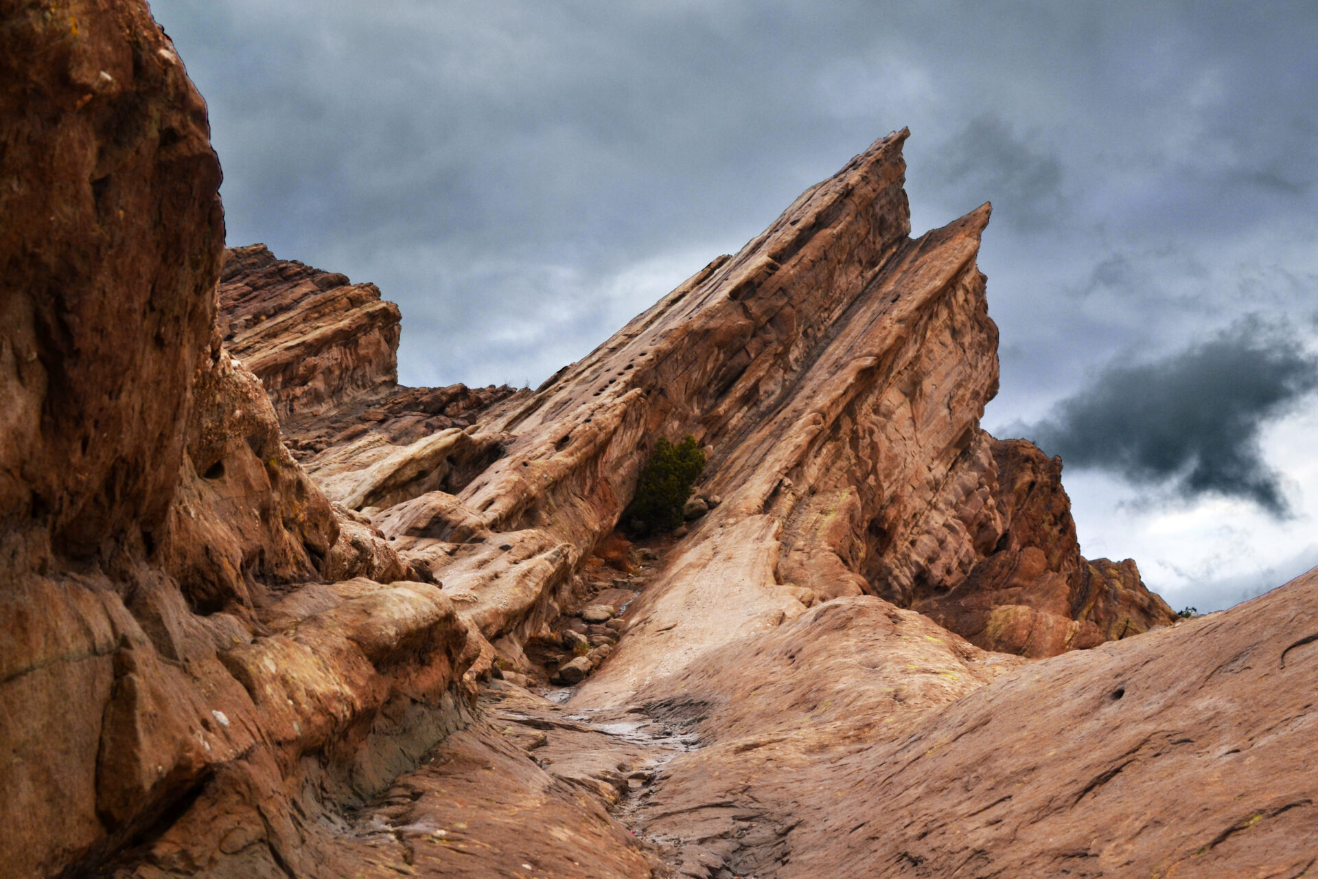 SCVNews.com | March. 21: SCAA Plein Air Outdoor Artmaking | 03-06-2025